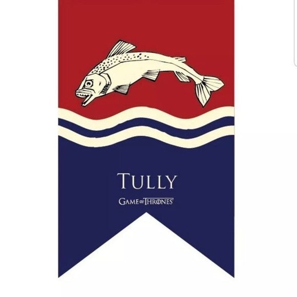 HBO | Wall Decor | Game Of Thrones Got House Tully Banner Flag 3 X 50 ...